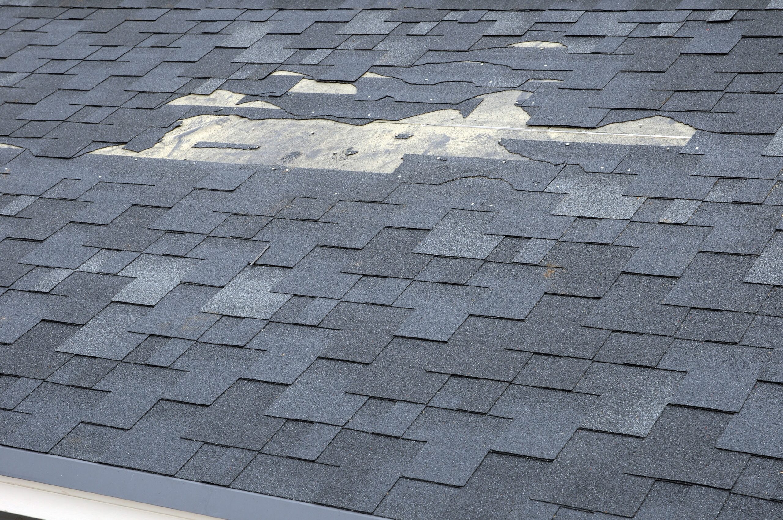 Roof Rot: What it is, How it Happens, and What to do